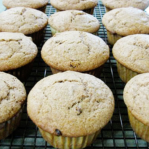 Basic Sprouted Muffins