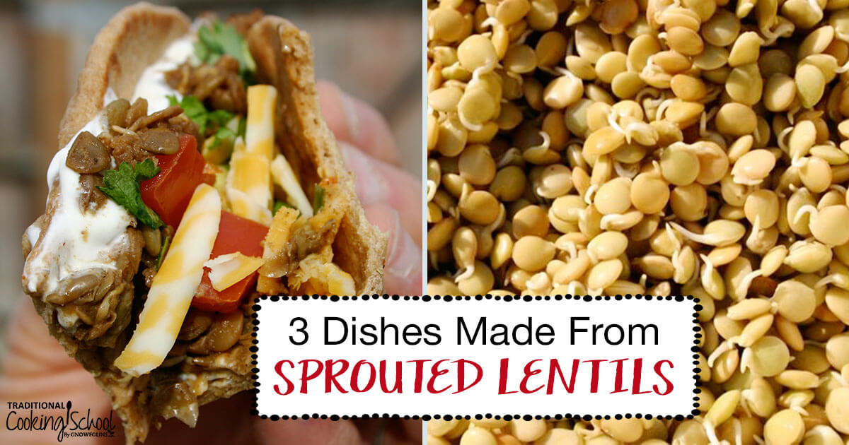 3 Dishes Made From Sprouted Lentils + How To Sprout Lentils