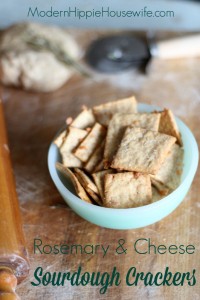 12 Yummy Snacks Using Sourdough