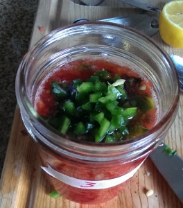 25 Fermented Fruit & Chutney Recipes | Traditional Cooking School