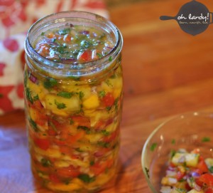 25 Fermented Fruit & Chutney Recipes | Traditional Cooking School