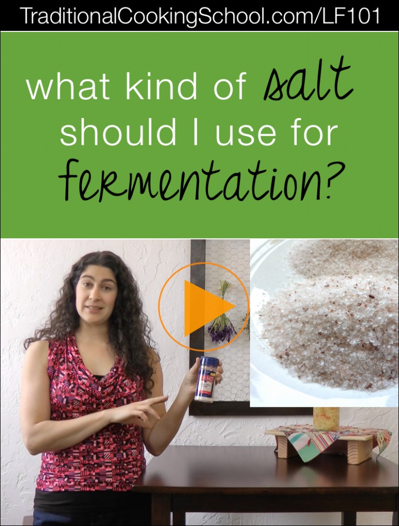 What Kind Of Salt You Should You Use for Fermentation {Video}