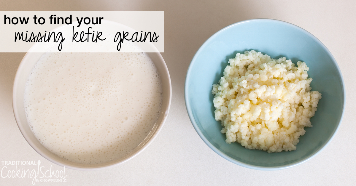 Help! Missing Kefir Grains? Here's How To Find Kefir Grains!