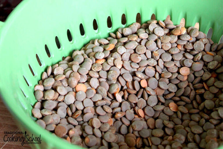 How To Sprout Lentils + 3 Delicious Sprouted Lentil Recipes