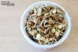 How To Sprout Lentils + 3 Delicious Sprouted Lentil Recipes