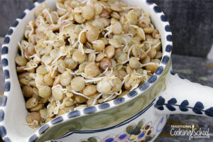 How To Sprout Lentils + 3 Delicious Sprouted Lentil Recipes