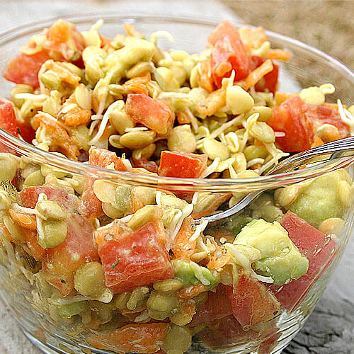 How To Sprout Lentils + 3 Delicious Sprouted Lentil Recipes