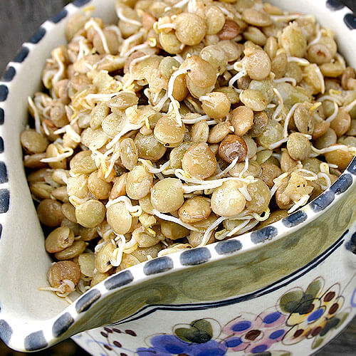 How To Sprout Lentils + 3 Delicious Sprouted Lentil Recipes