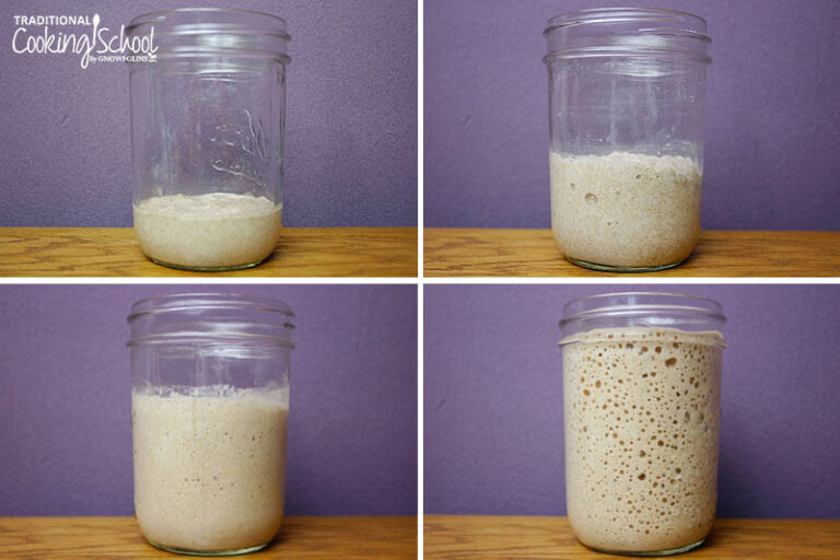 How To Make A Sourdough Starter (FAQs, care tips, recipes & more!)