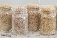 Ancient Grains 101
