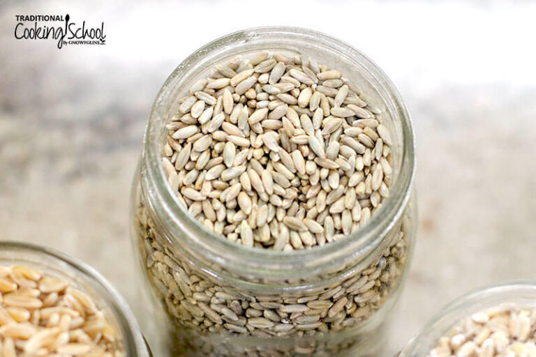 Ancient Grains 101