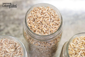 Ancient Grains 101