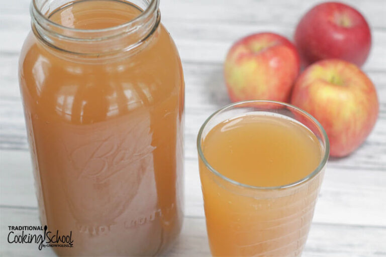 Fizzy Apple Cider Switchel (VAD)